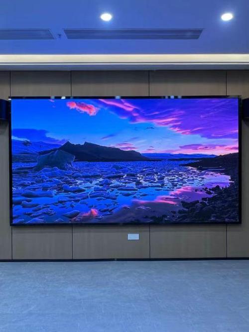 超大液晶电视截图