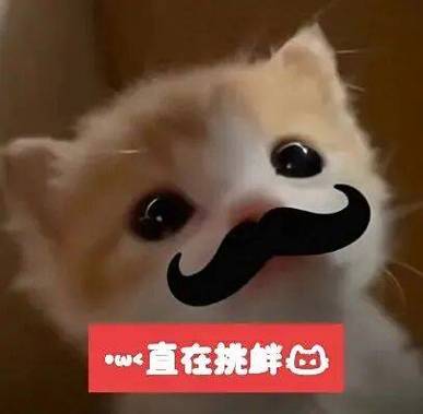 卖萌表情包图片图标