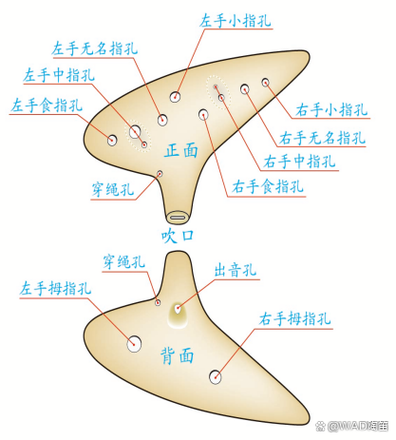 陶笛12孔图标