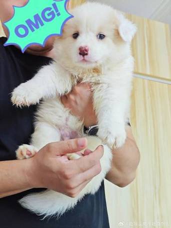 小熊到家安装接单图标