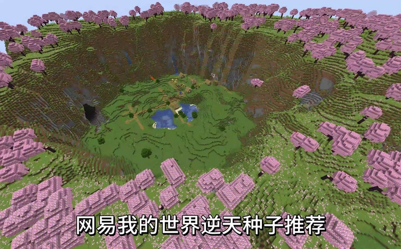 mc寻找樱花树林指令