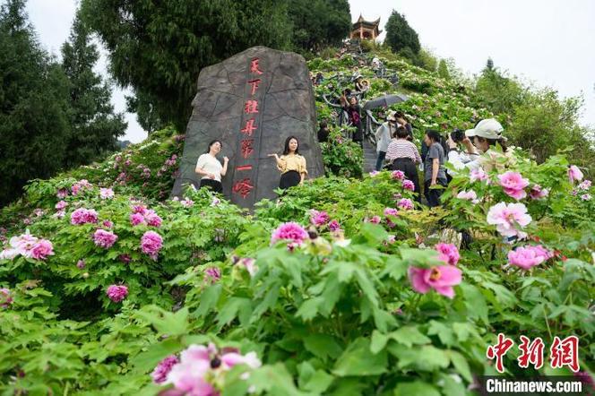 垫江论坛网图标