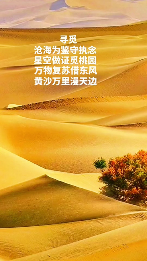 寻觅的正确解释截图