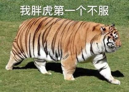 我胖虎表情包图标