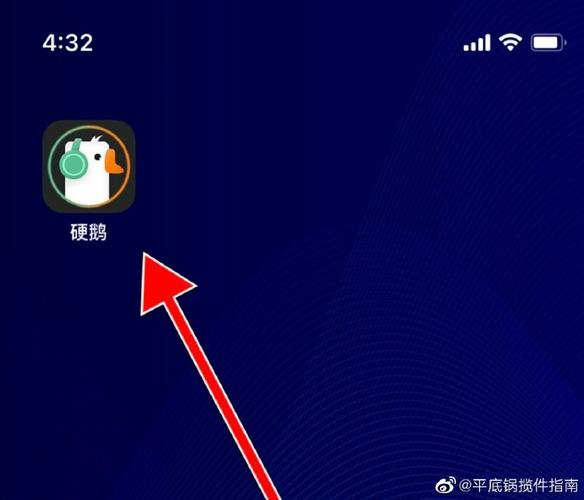 硬鹅app截图