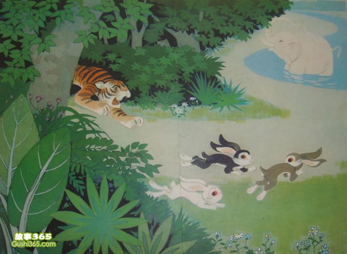 大象救小兔子的视频图标