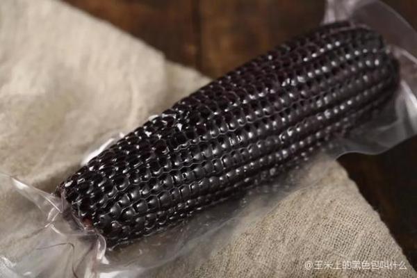 玉米上的黑色包叫什么图标