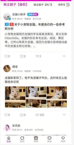 龙猫助手app图标