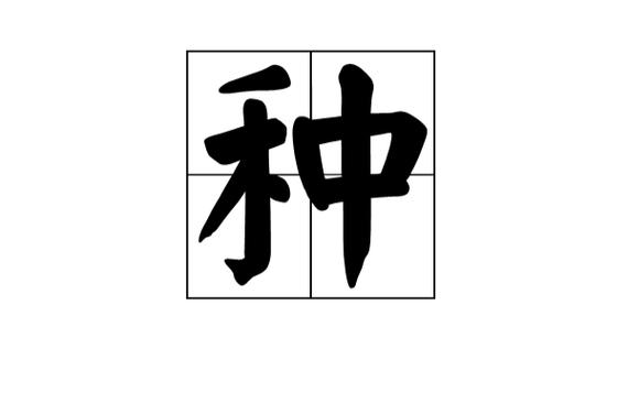 种怎么读姓氏截图