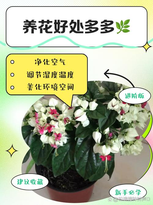 多多养花赚钱优势图标