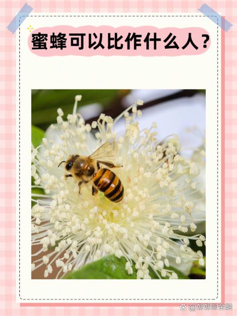蜜蜂对人类的贡献图标