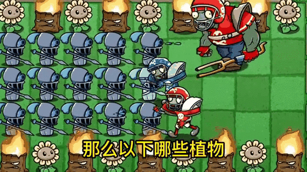 95版植物大战僵尸橄榄球怎么打