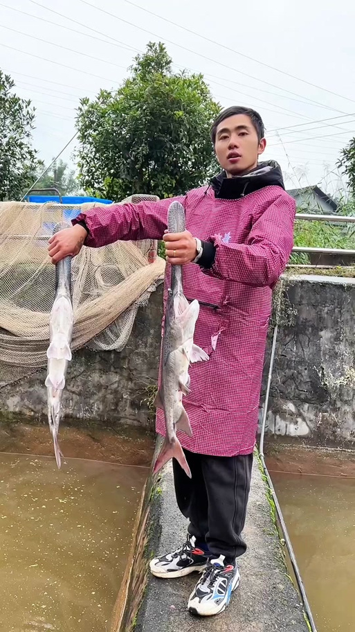 鱼批发从哪里进货最便宜图标