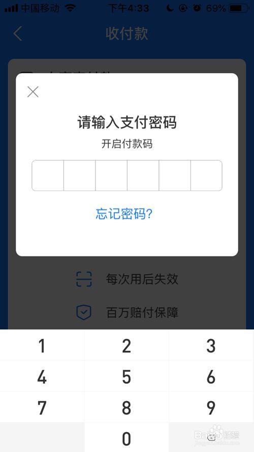 支付宝付款码输入密码截图