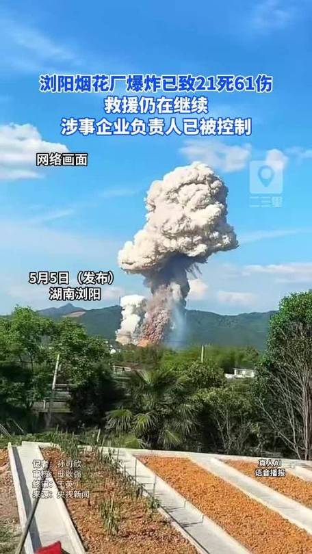浏阳烟花厂爆炸21死61伤图标