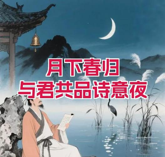 月下君归 小说图标