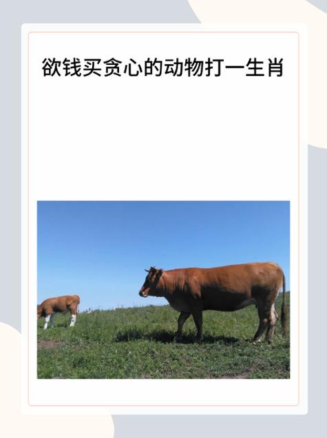 一元打一动物图标