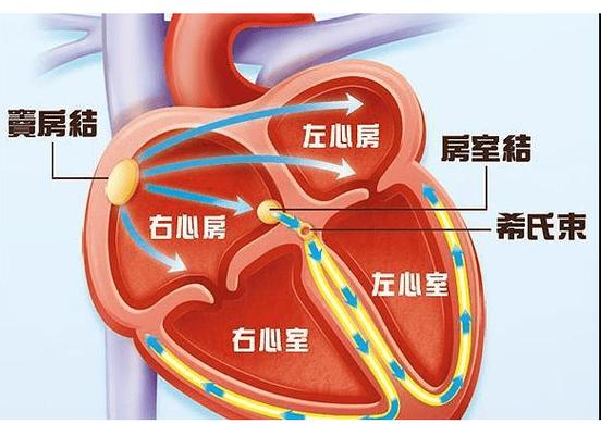 好感度到100可推倒的系统截图