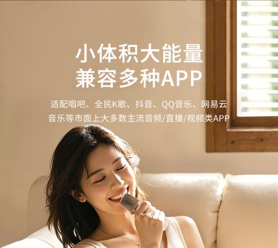 唱吧怎么连接蓝牙话筒截图