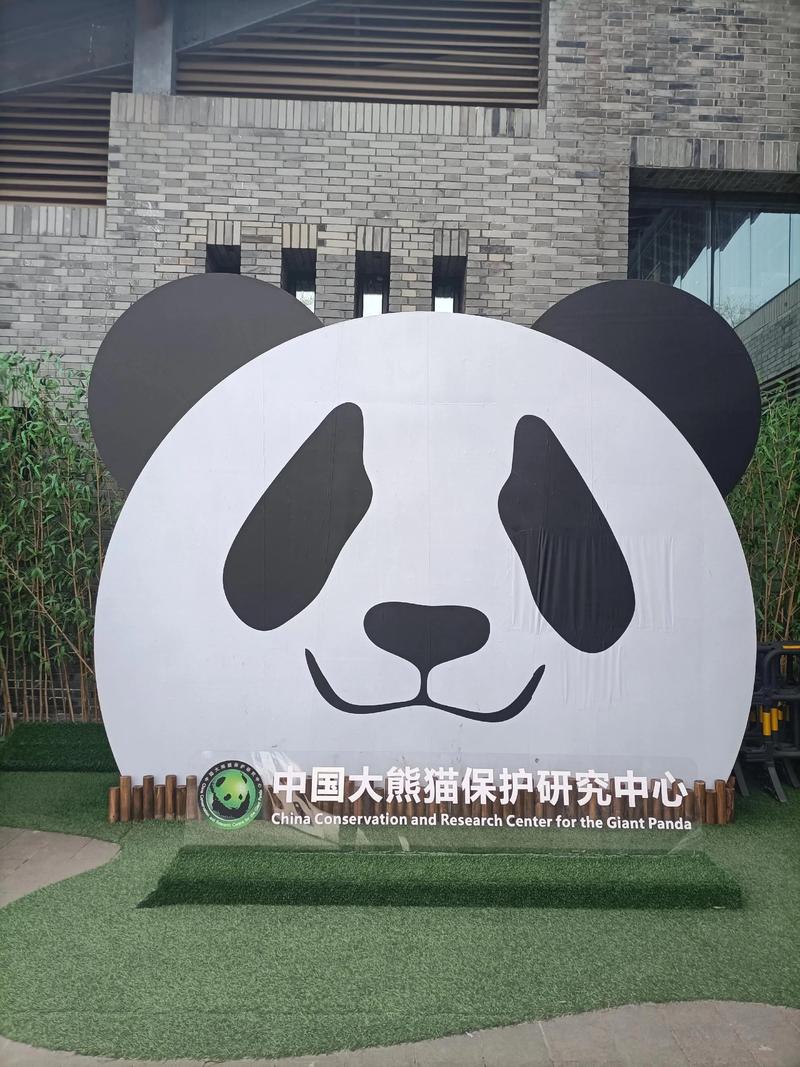 大熊猫资料三年级图标