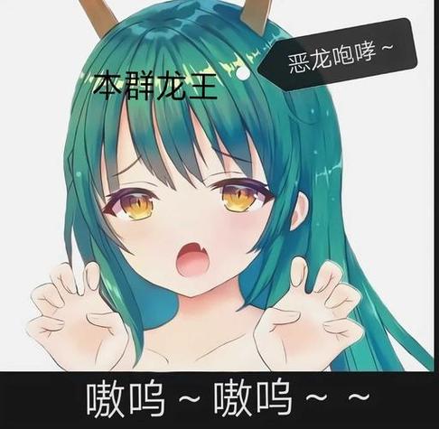龙王的正确使用方法截图
