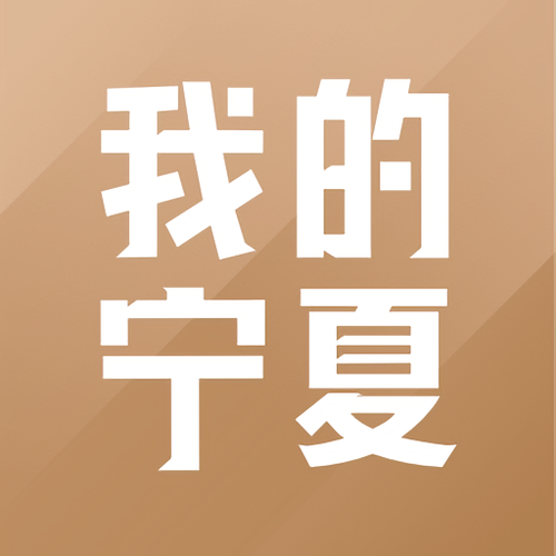 请安装我的宁夏截图