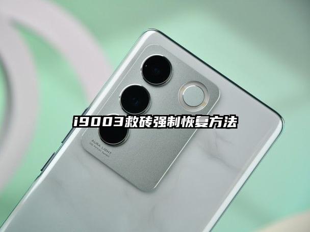 救砖强制恢复方法图标