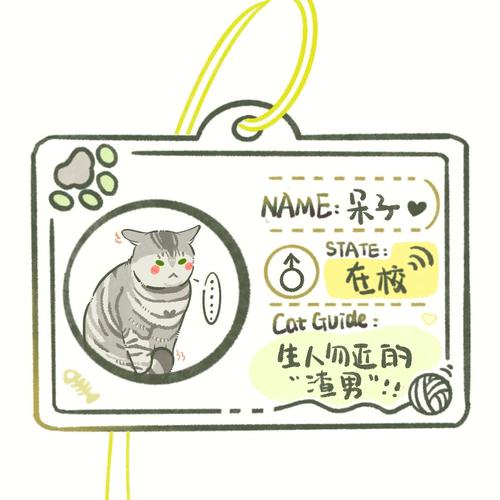 天猫超市卡在哪里绑定图标