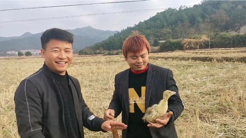螃爷老二视频