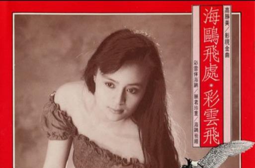 海鸥飞处彩云飞的结局截图