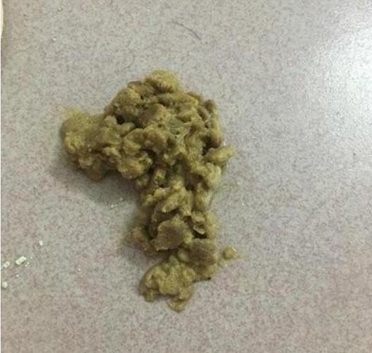 猫胃里有毛球怎么排出图标