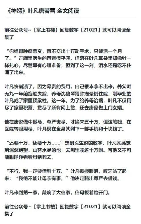 叶凡苏若雪的免费阅读图标