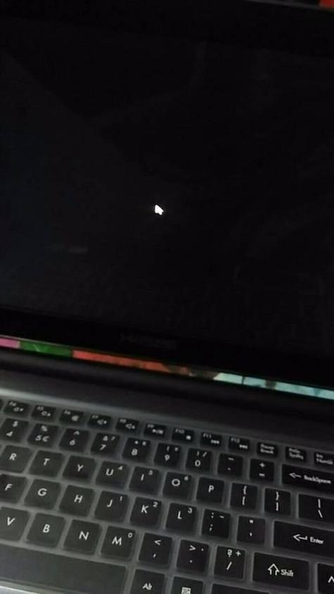 神舟电脑重启黑屏很久截图