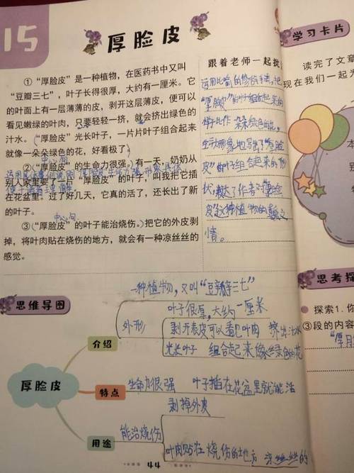 老莫的薄荷蛋阅读答案图标