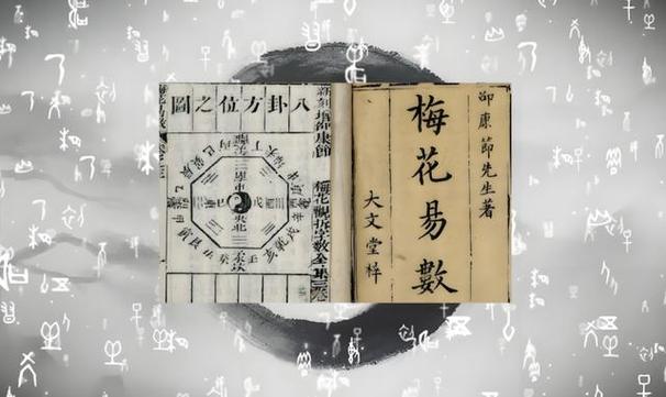 梅花易数哪个版本最好图标