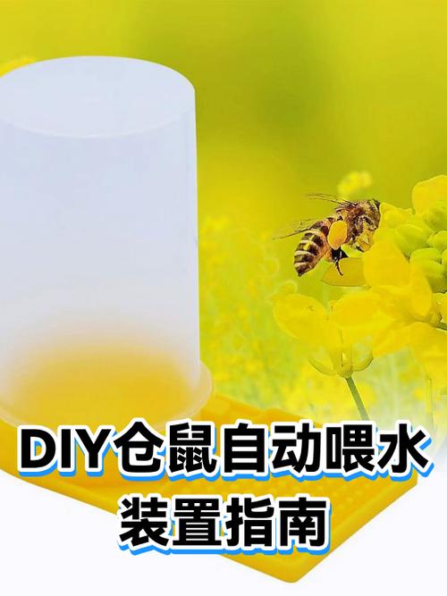 仓鼠必备用品清单图标