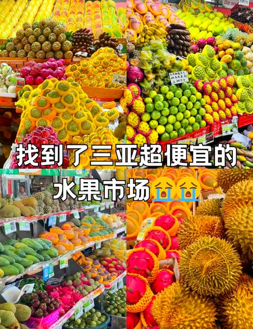 藏宝海湾水果商在哪图标