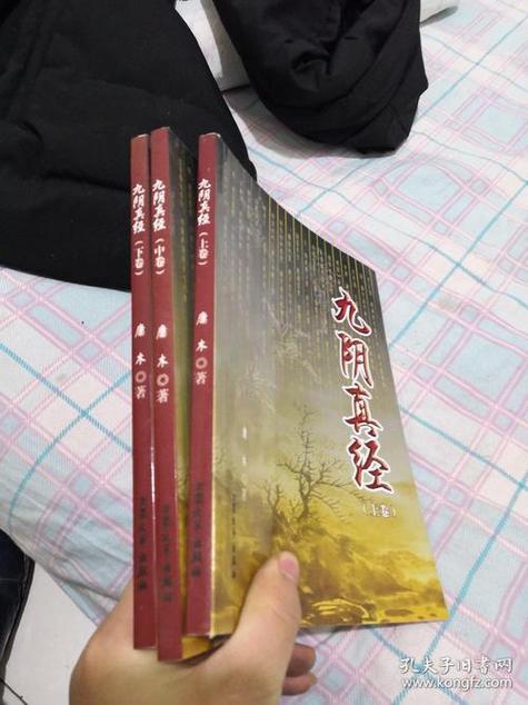 九阴真经绝学图标