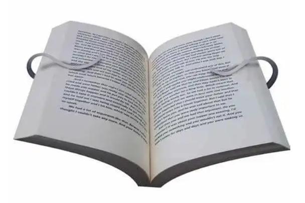 reader什么意思