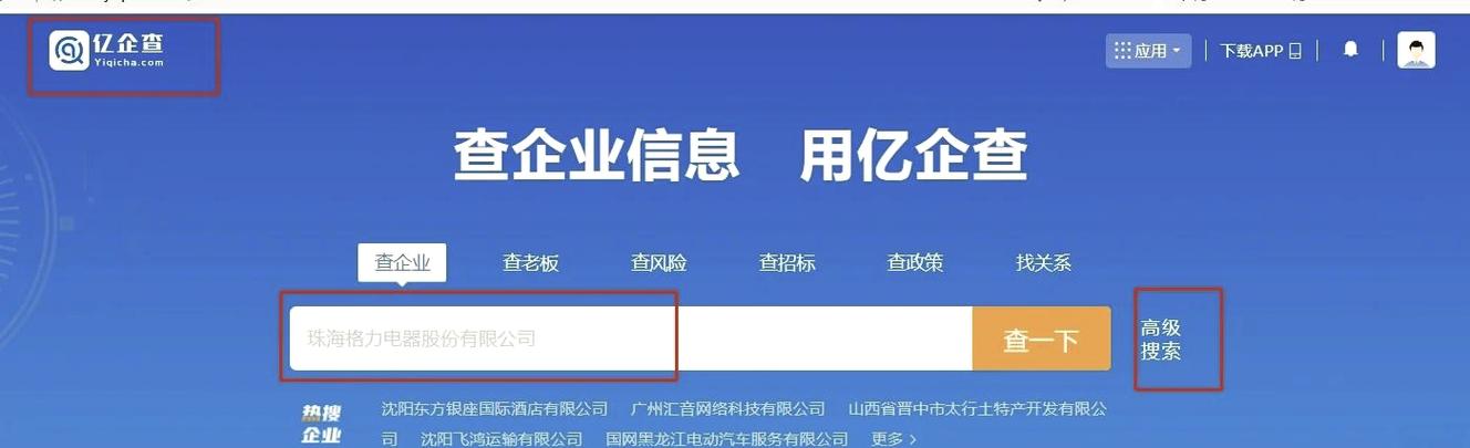 免费查询大数据图标
