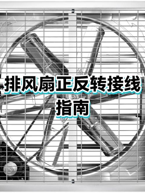 破解游戏怎么绕过steam启动图标