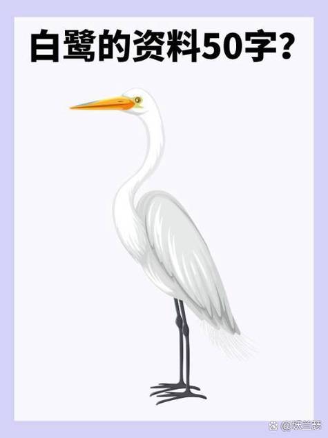白鹭鹭鸶图标