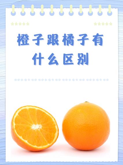橙子和橘子的区别截图