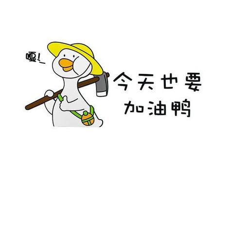 每天都要加油鸭图片图标