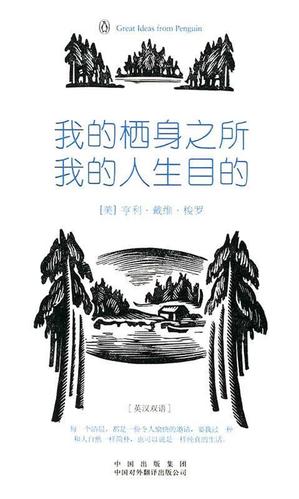 我的YY人生截图