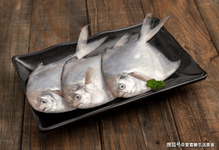 银鲳鱼为什么很少人买