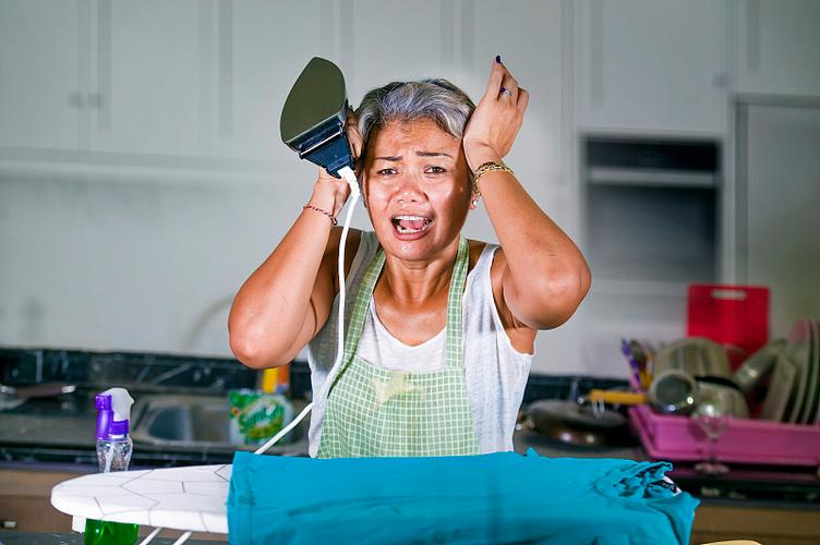 孤独的家庭主妇汉化版图标