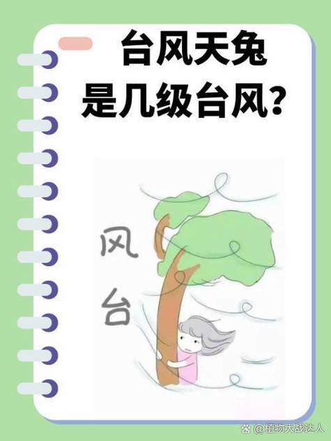 史上最小台风5级