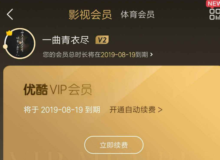 优酷vip会员和黄金会员区别图标