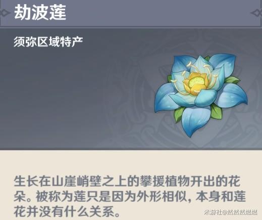原神奇怪的花种